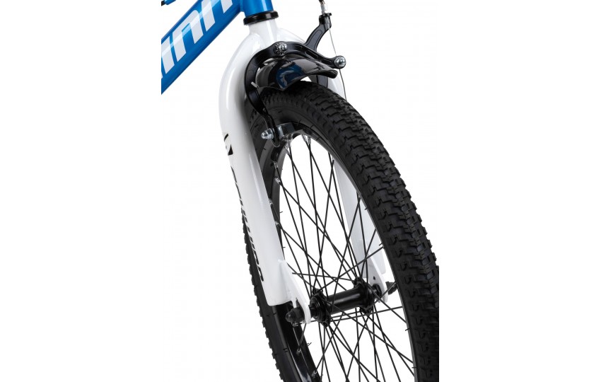Велосипед Schwinn Koen 20 2020 купить недорого в Москве - интернет ...